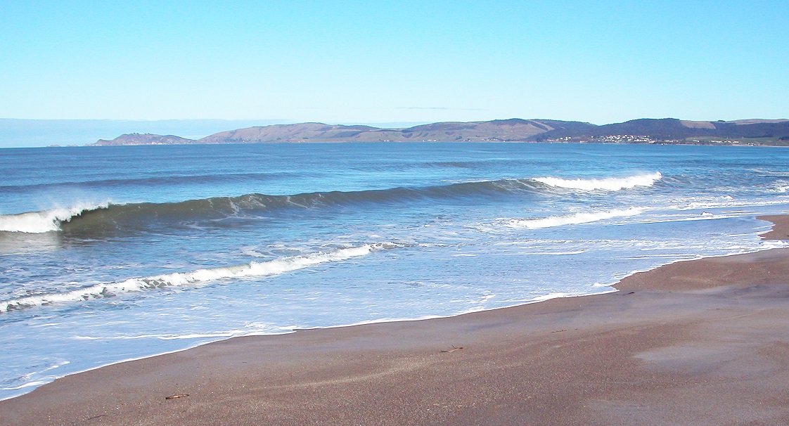 Surf Casting at Kaka Point