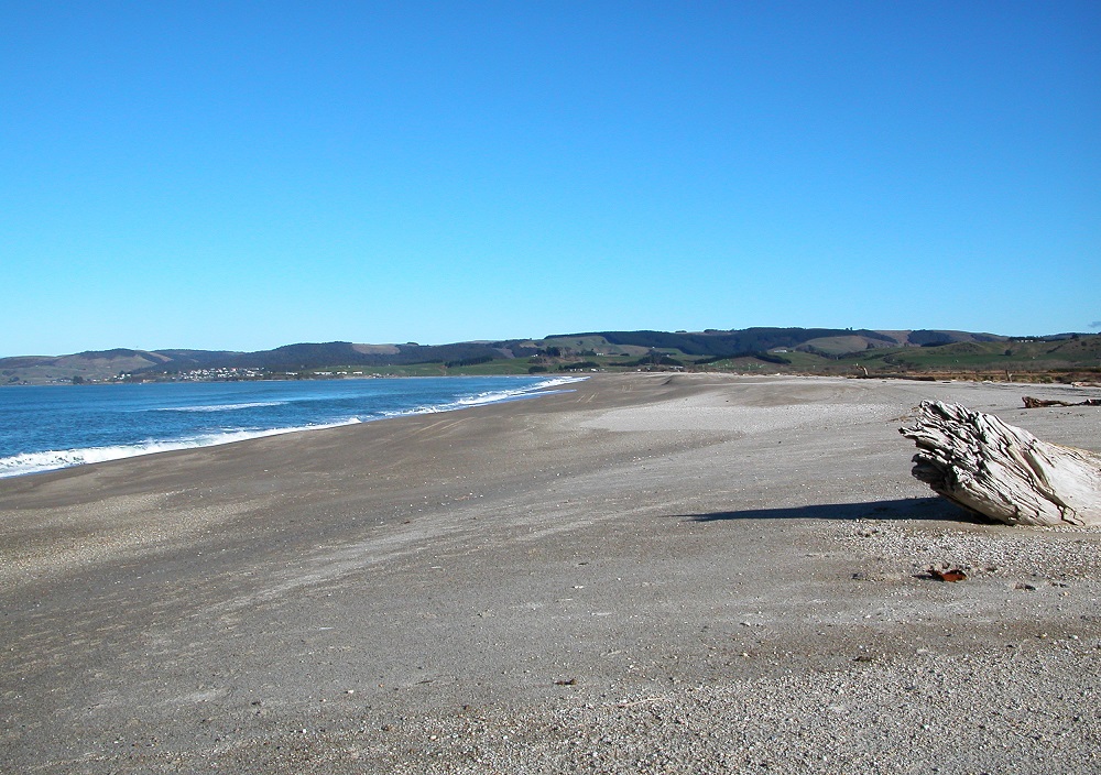 Surf Casting at Kaka Point