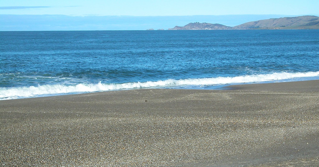 Surf Casting at Kaka Point