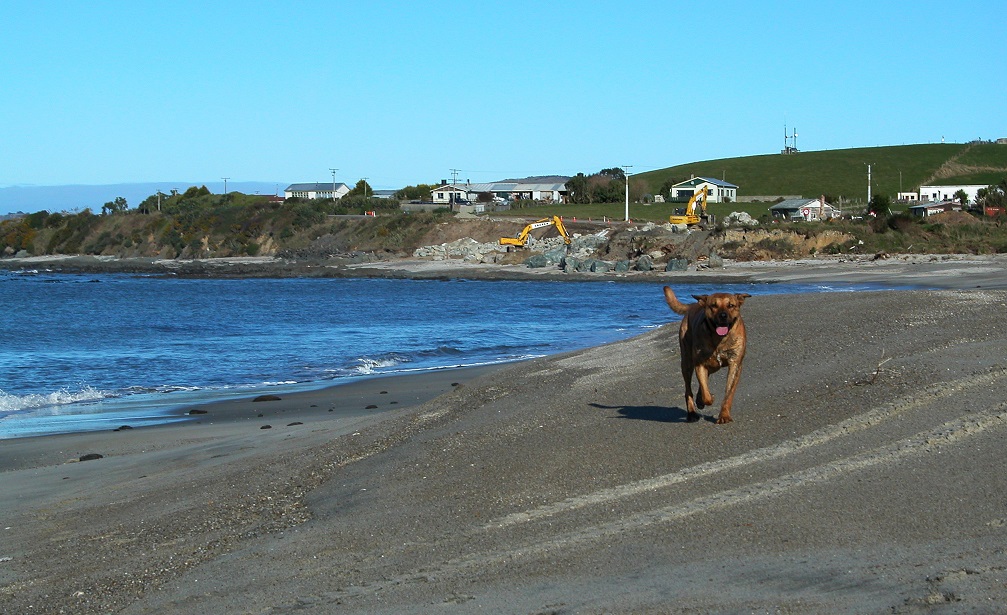 Surf Casting at Kaka Point